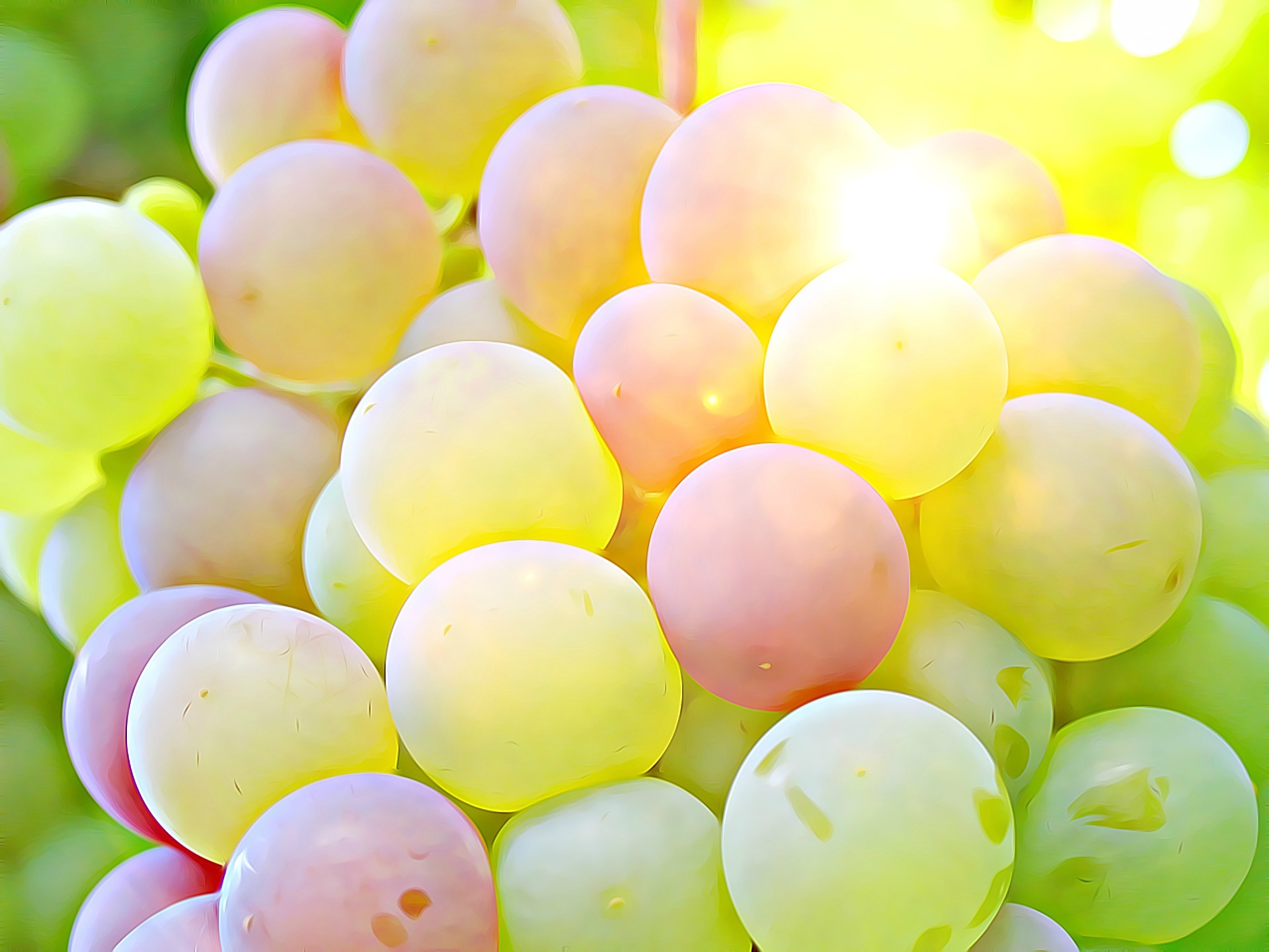 Benefits of Grapes: Top 12 Vital Reasons to Include in Meals Benefits of Grapes: Top 12 Vital Reasons to Include in Meals